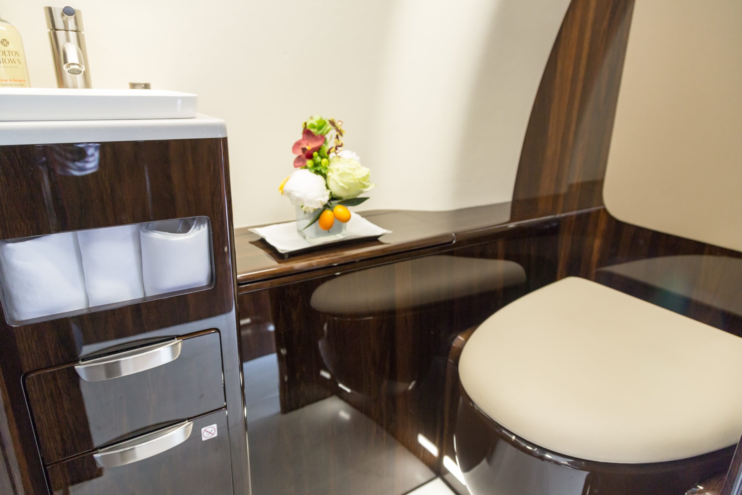 What You Need to Know About Private Jet Bathrooms | Craft Pod